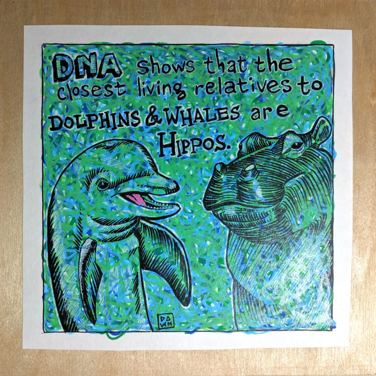 "Dolphin Hippo" original painting - Dawn Pedersen, Artist