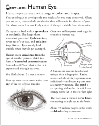 How to Draw a Human Eye Worksheet - Dawn Pedersen, Artist